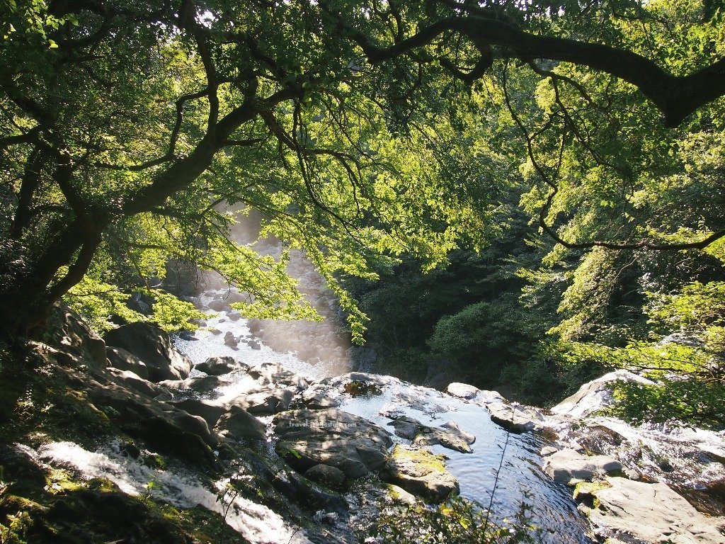 3 Famous Waterfalls of Jeju with a Baby • Joogo Travel