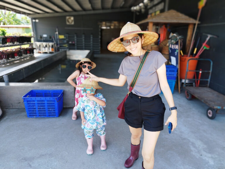 Yilan with Children: DIY Fun with Scallions / Spring Onions • Joogo Travel