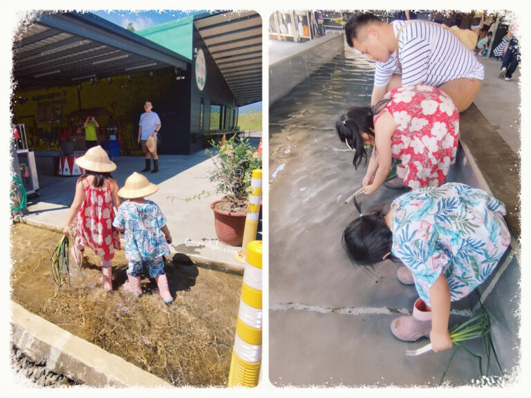 Yilan with Children: DIY Fun with Scallions / Spring Onions • Joogo Travel